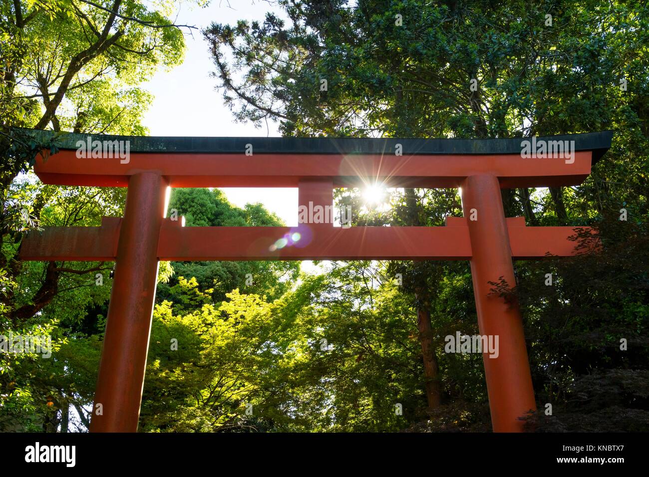 Gate yasaka shrine hi-res stock photography and images - Alamy