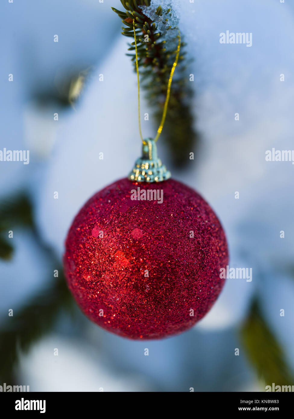 christmas tree red ball decoration with real snow Stock Photo - Alamy