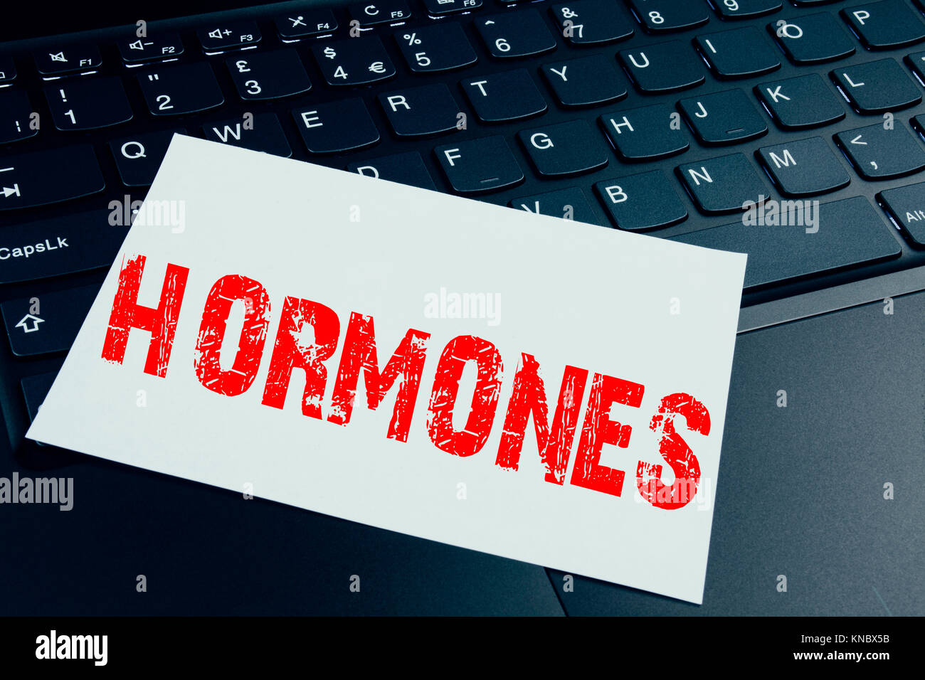 Writing Hormones text made in the office close-up on laptop computer ...