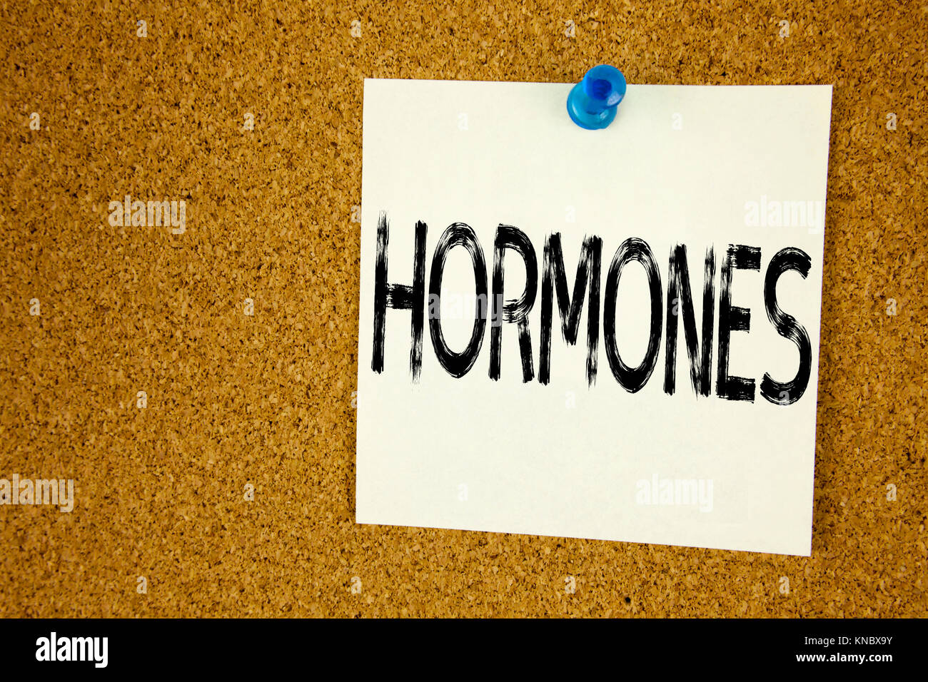 Conceptual hand writing text caption inspiration showing Hormones ...