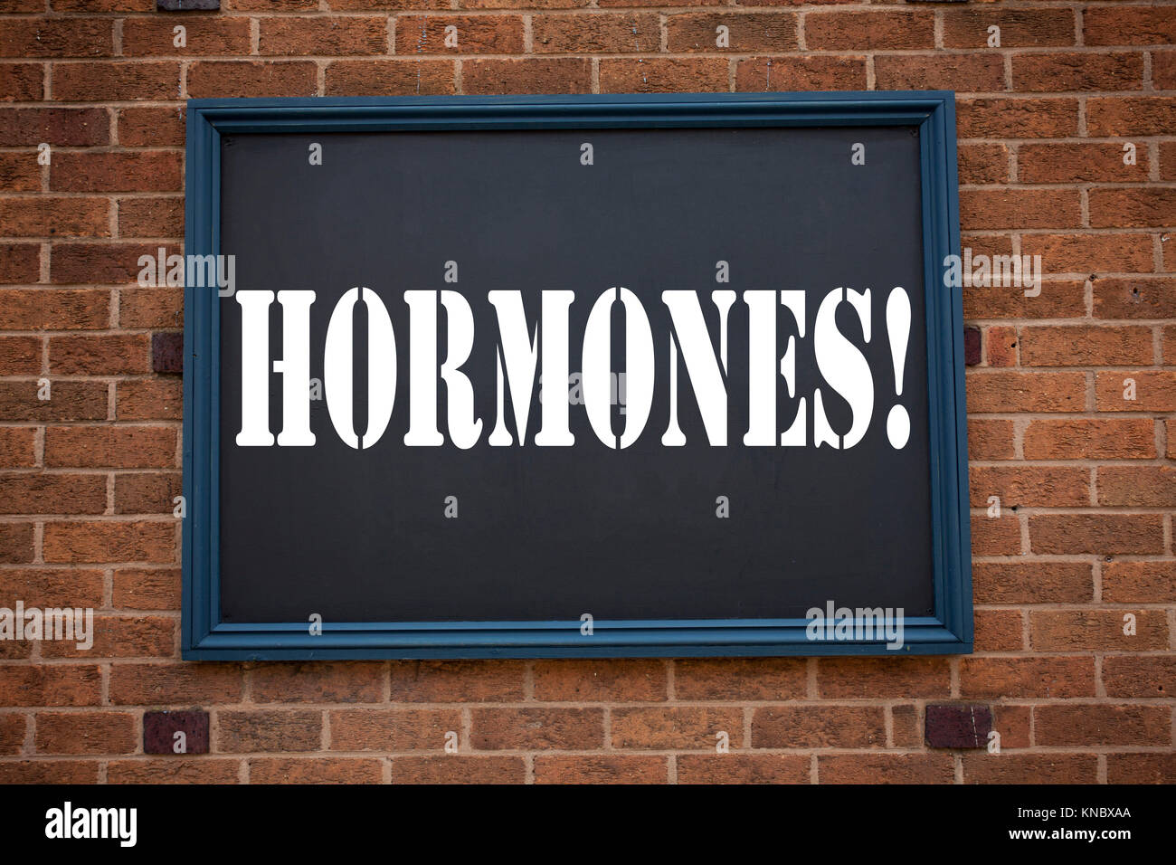 Conceptual hand writing text caption showing announcement Hormones ...