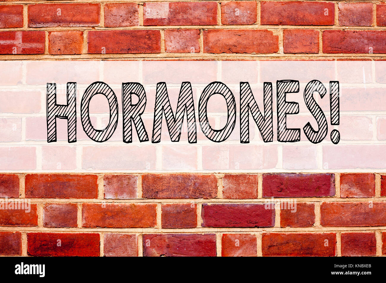 Hormonal signal hi-res stock photography and images - Alamy