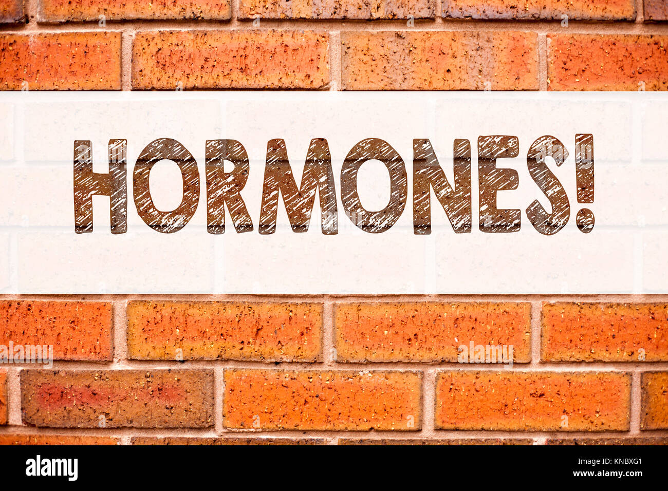 Conceptual announcement text caption inspiration showing Hormones ... Conceptual announcement text caption inspiration showing Hormones ...