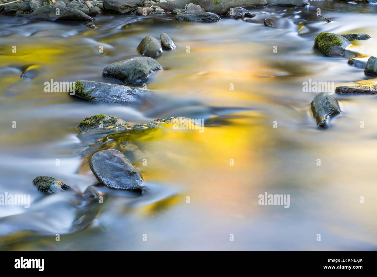 Aller river, Aller council, Asturias, Spain, Europe Stock Photo - Alamy