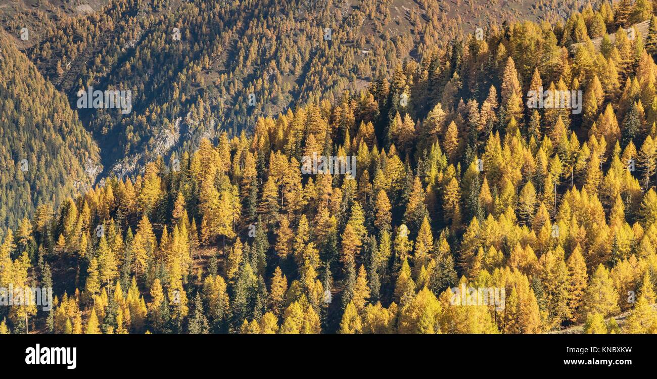 Switzerland Simplon Pass High Resolution Stock Photography and Images ...