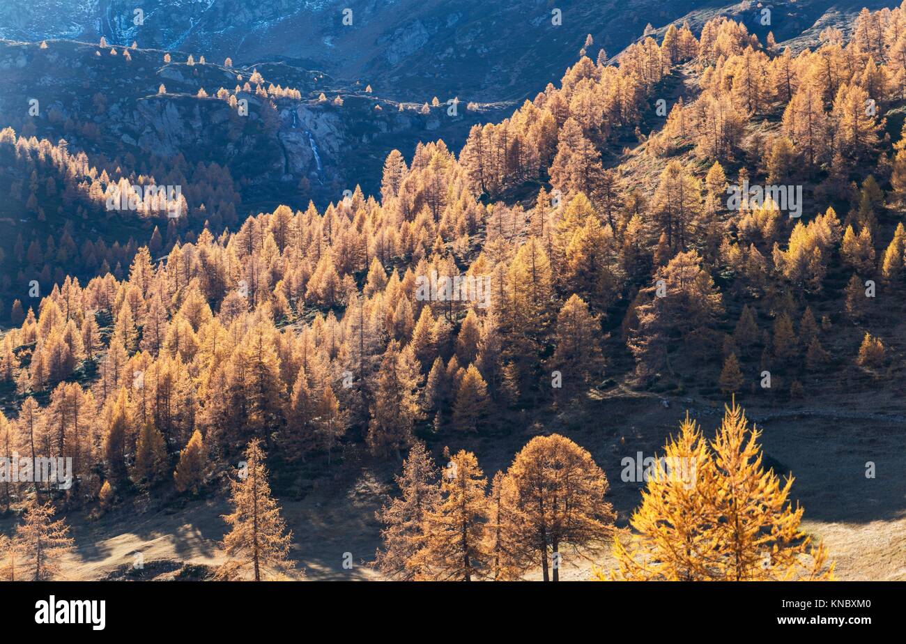 Simplon hi-res stock photography and images - Alamy