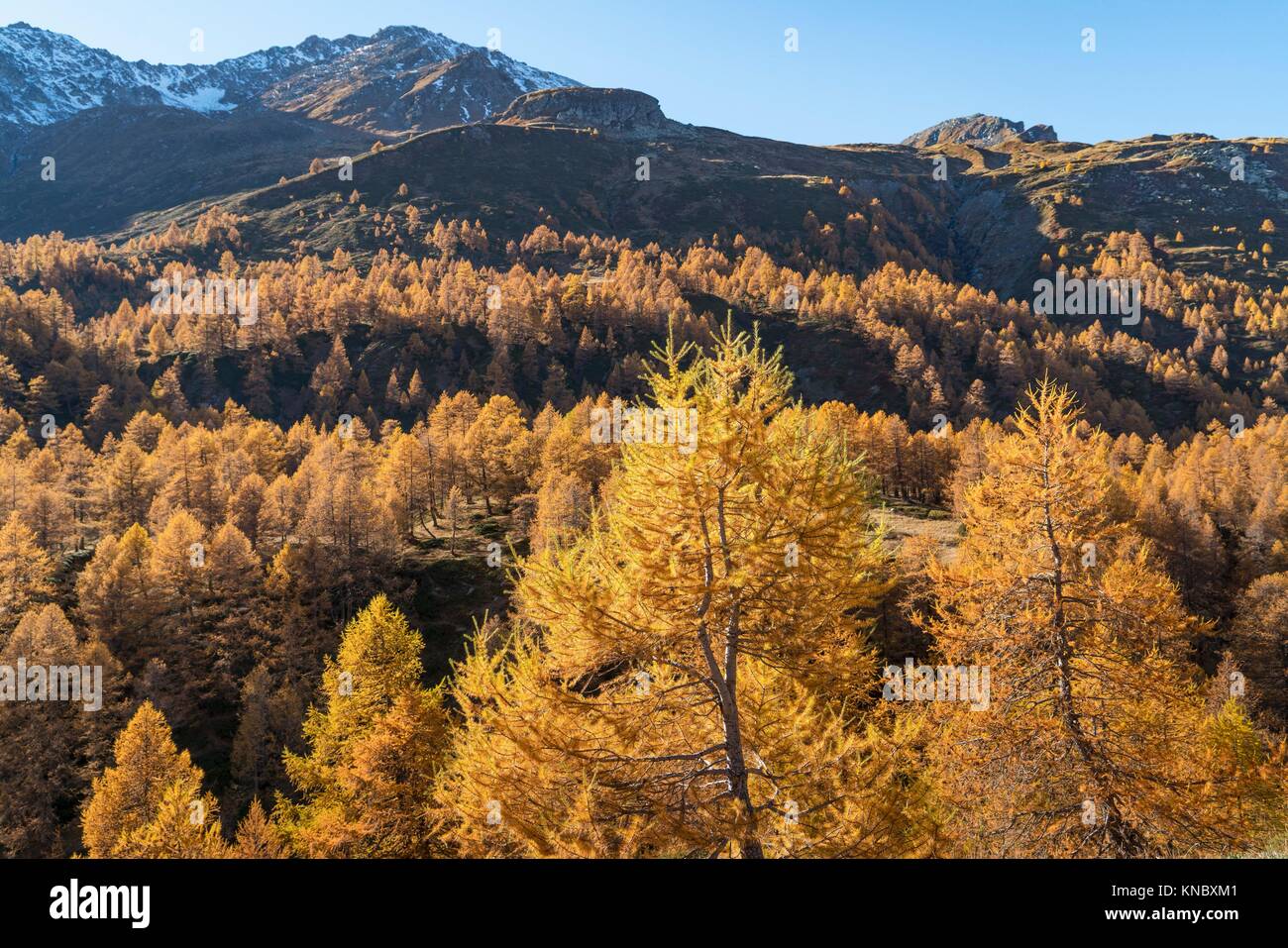 Switzerland simplon pass hi-res stock photography and images - Alamy