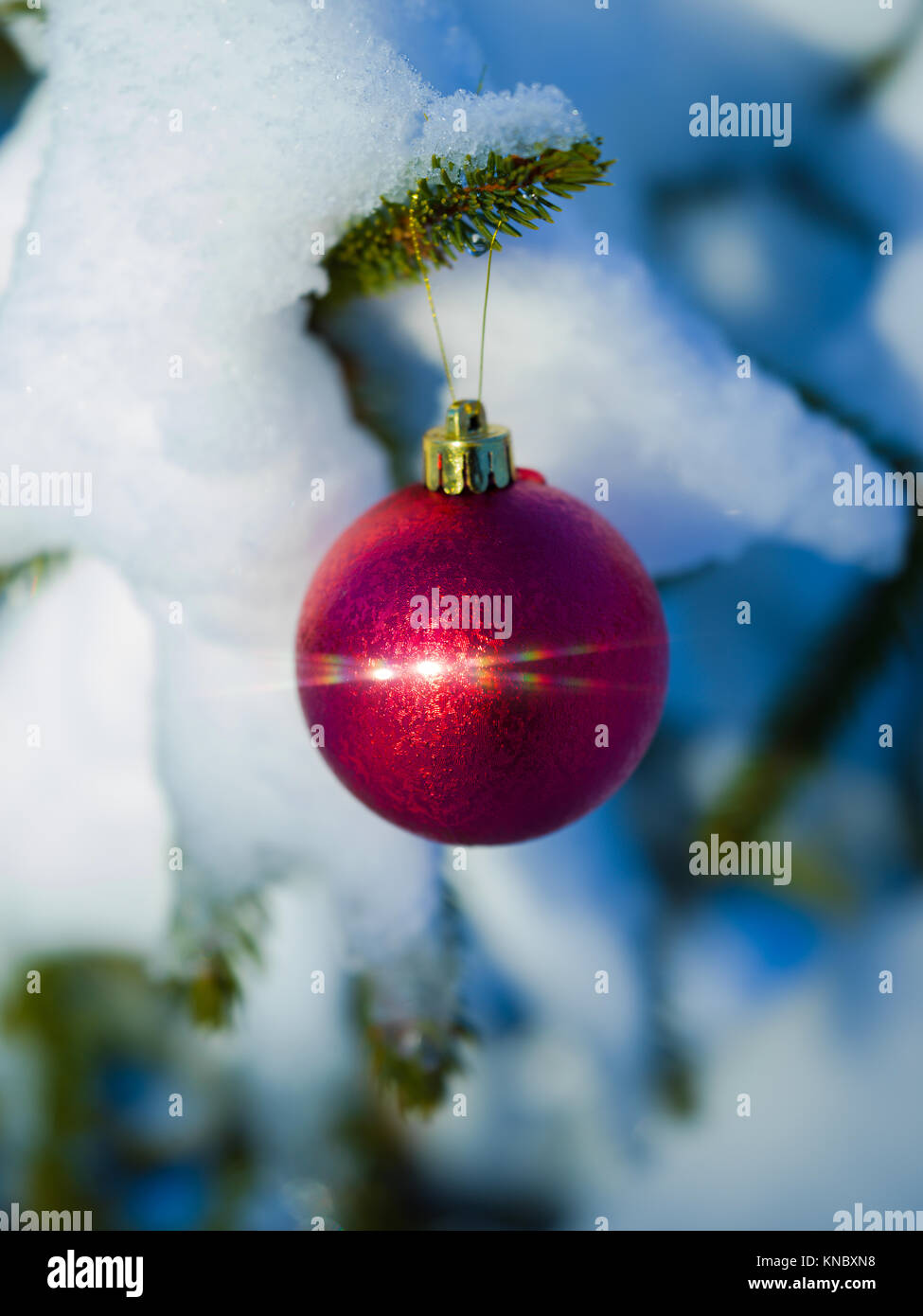 christmas tree red ball decoration with real snow Stock Photo - Alamy