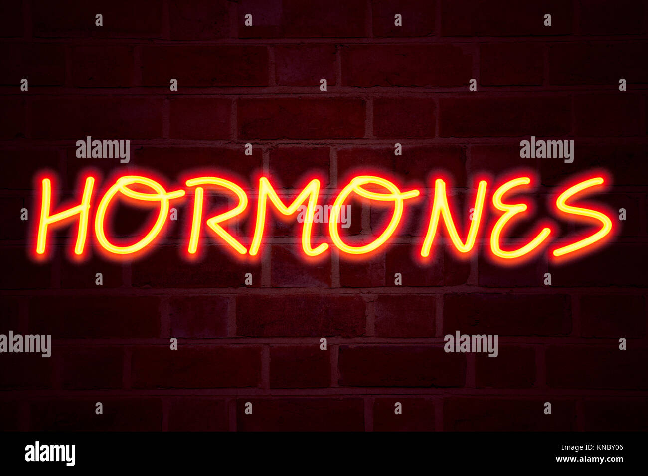 Hormones neon sign on brick wall background. Fluorescent Neon tube Sign ...