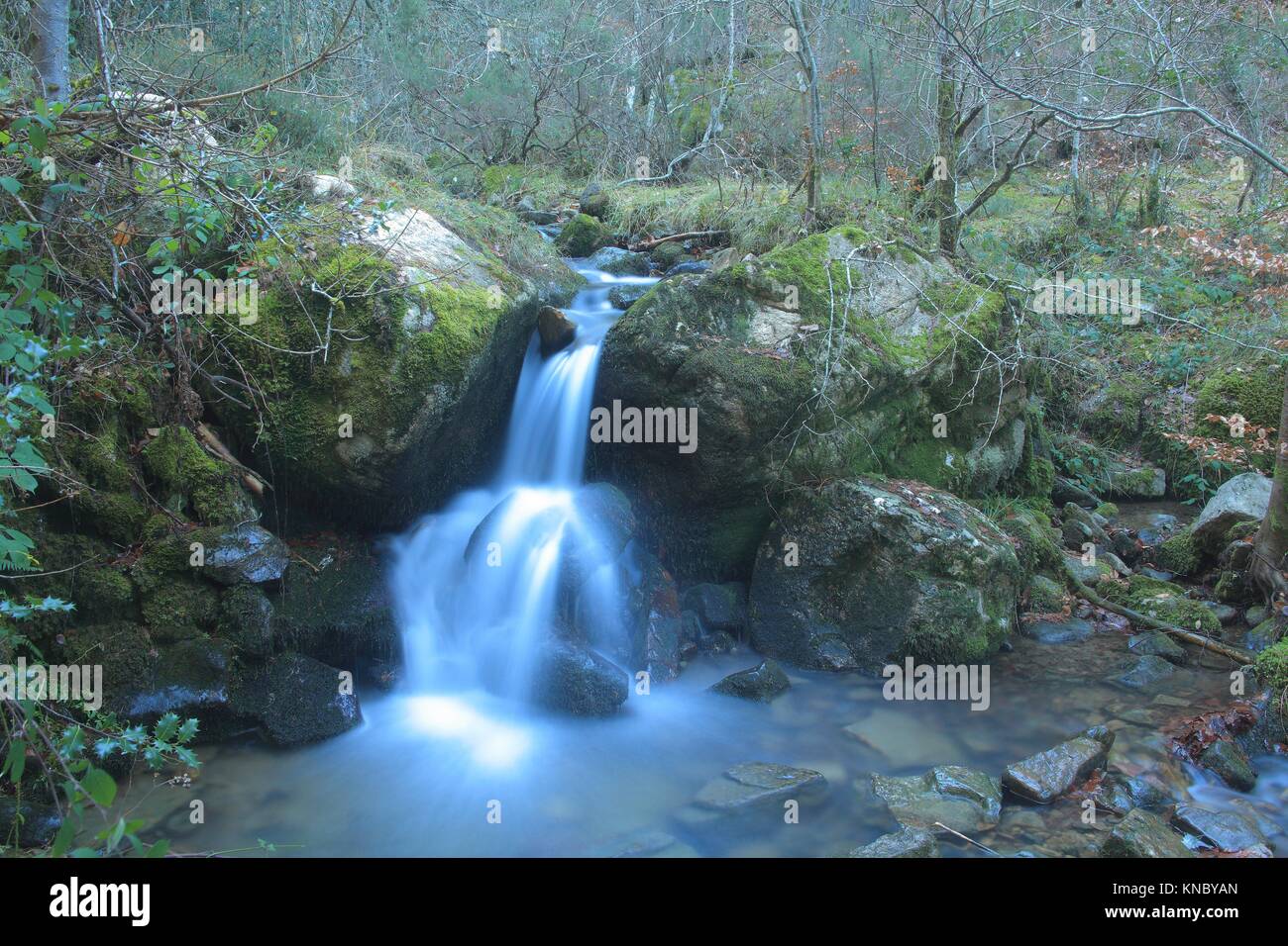 The hermitage waterfalls hi-res stock photography and images - Alamy