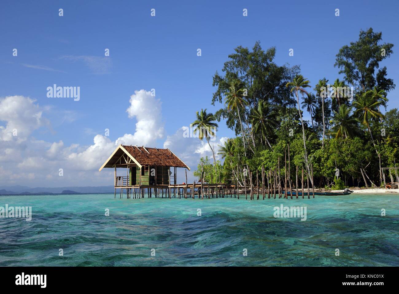 Raja Ampat, Papua, Indonesia, Southeast Asia Stock Photo - Alamy