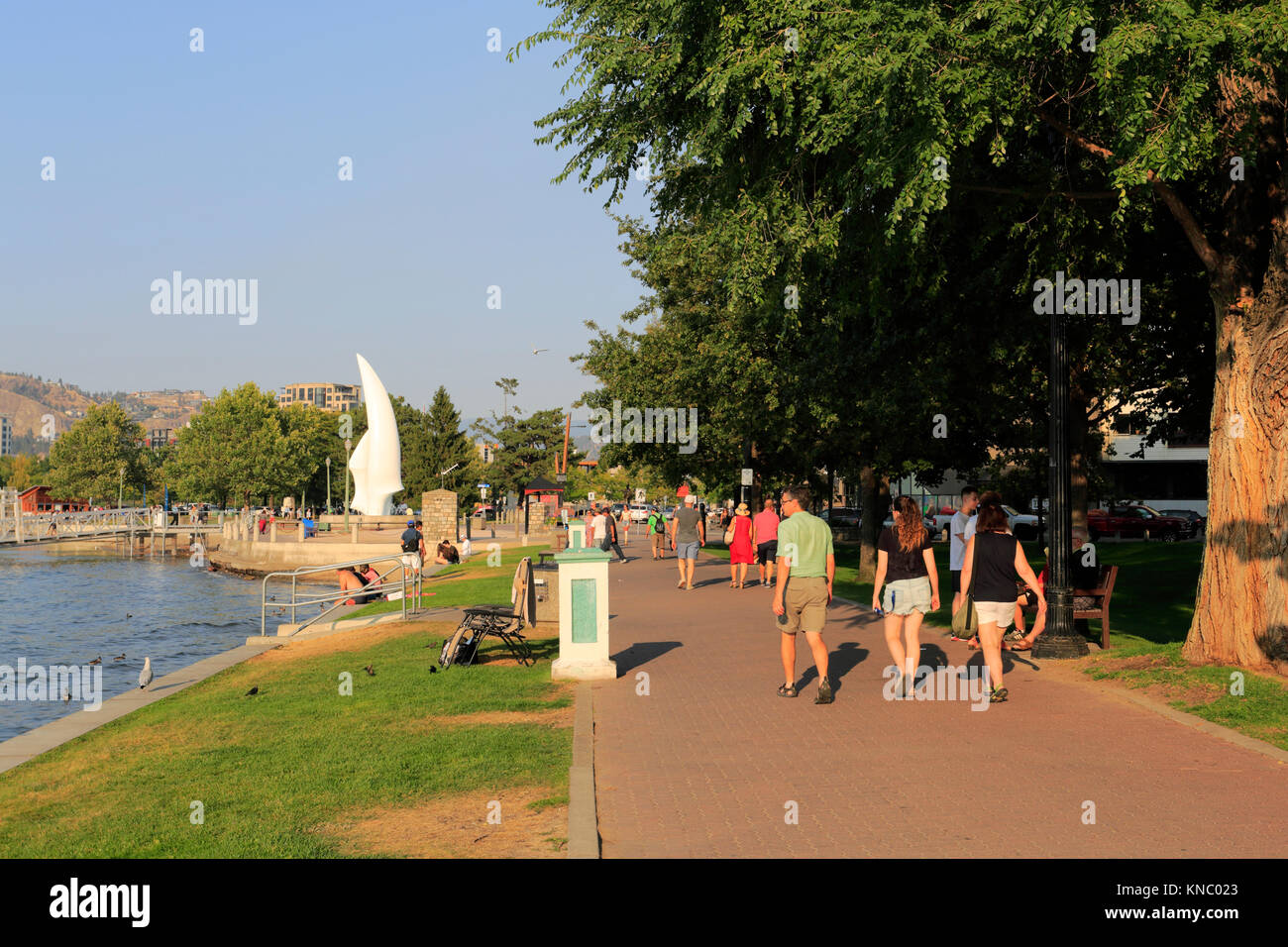 Summer, City park and the Okanagan Lake, Kelowna town, British Columbia ...