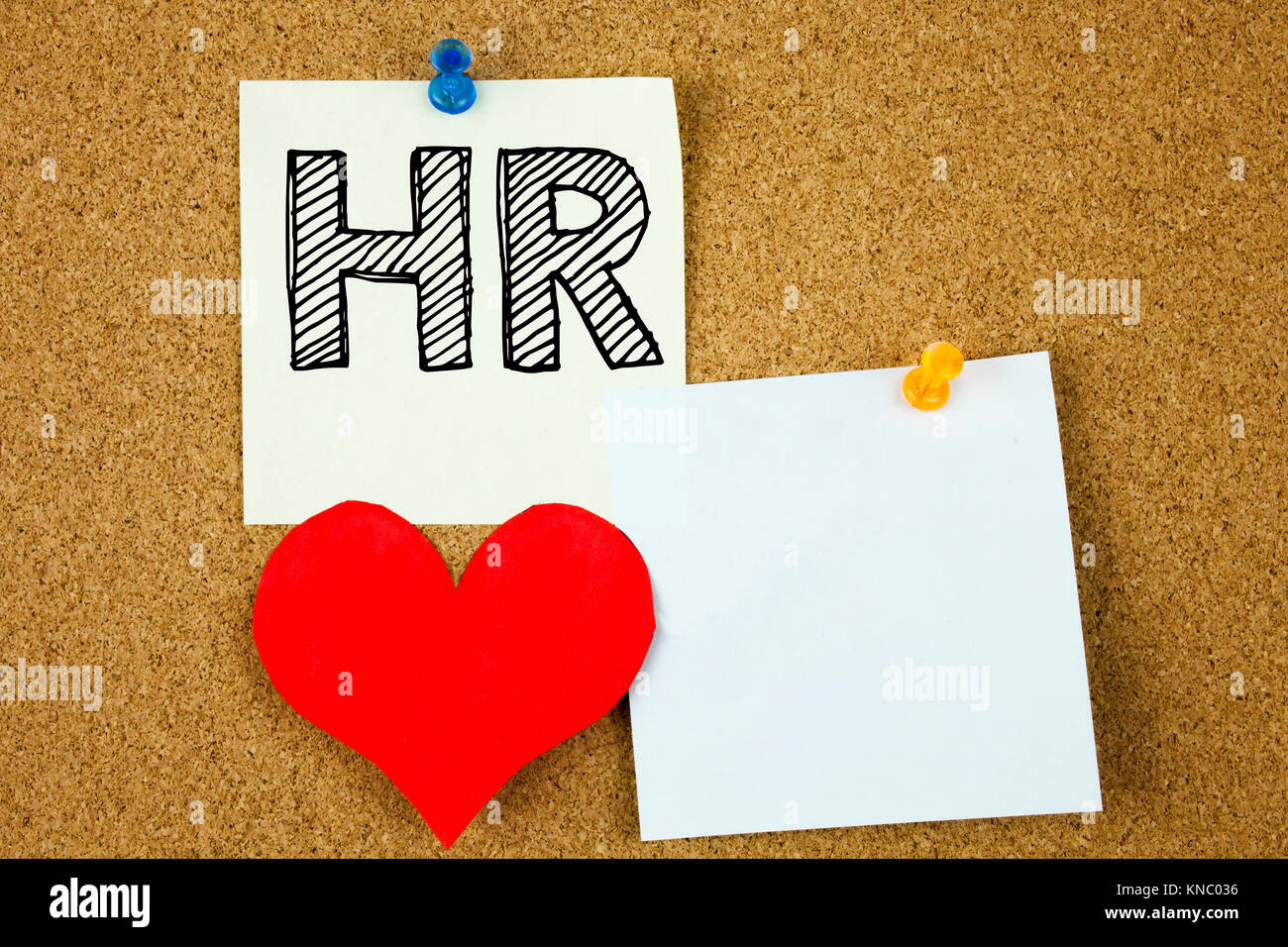 Conceptual hand writing text caption inspiration showing HR Human ...