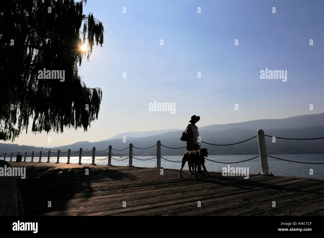 Summer, the Simpson Boardwalk, Waterfront Park, Okanagan Lake, Kelowna ...