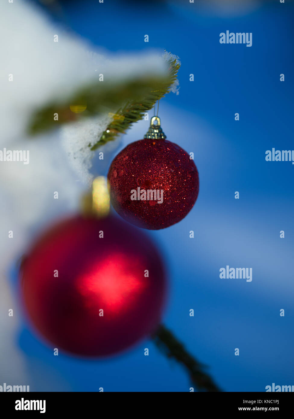 christmas tree red ball decoration with real snow Stock Photo - Alamy