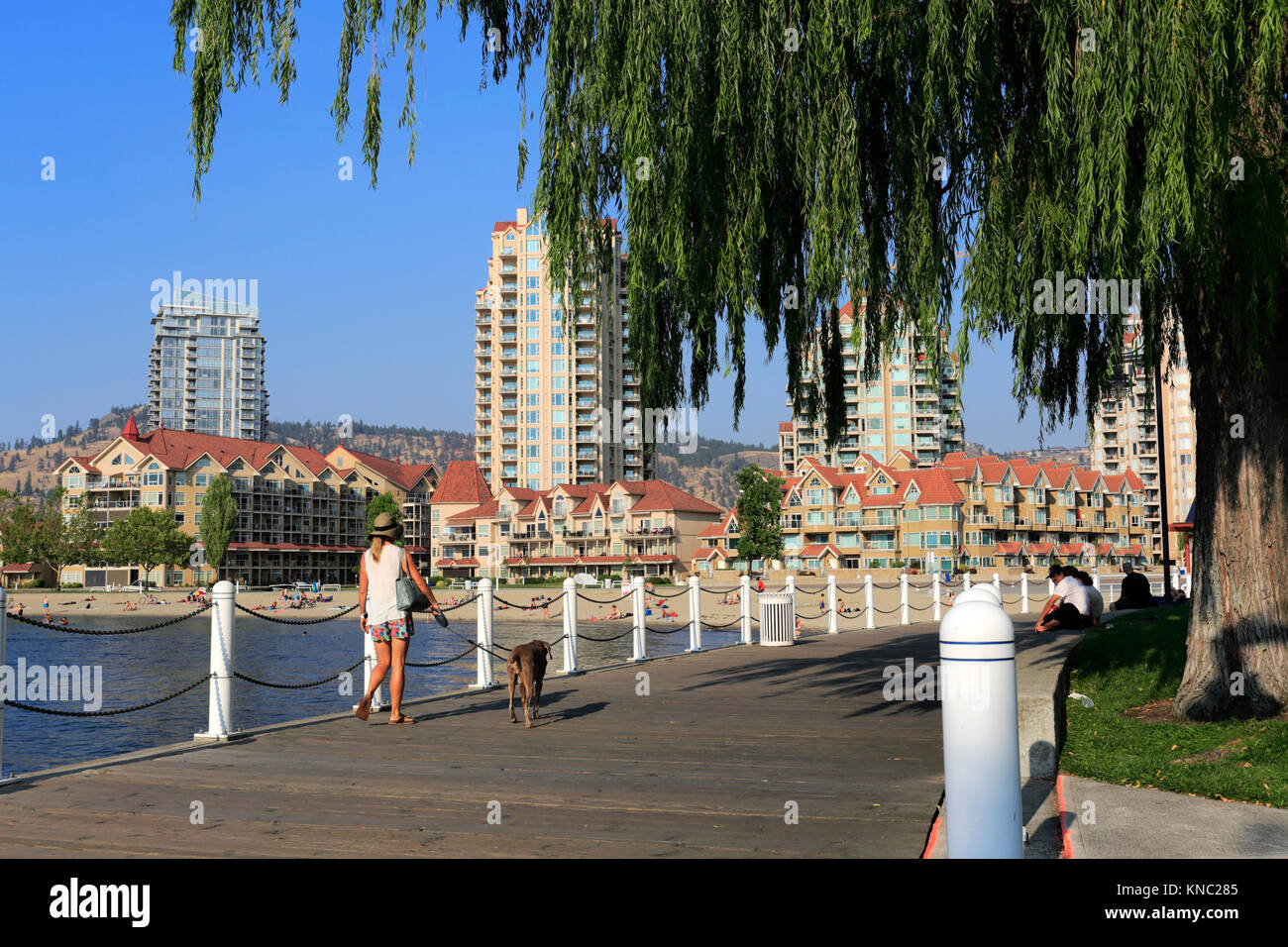 Summer, the Simpson Boardwalk, Waterfront Park, Okanagan Lake, Kelowna ...