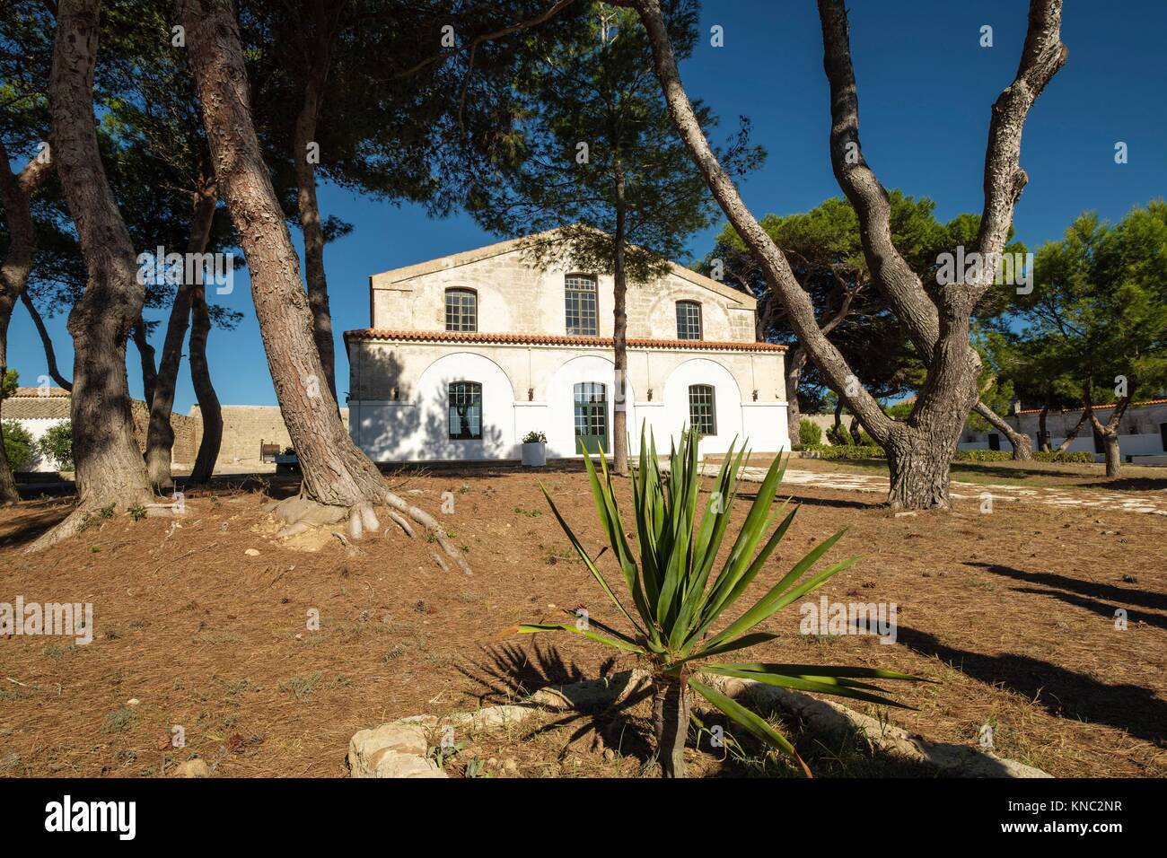 Interior de edificio hi-res stock photography and images - Alamy