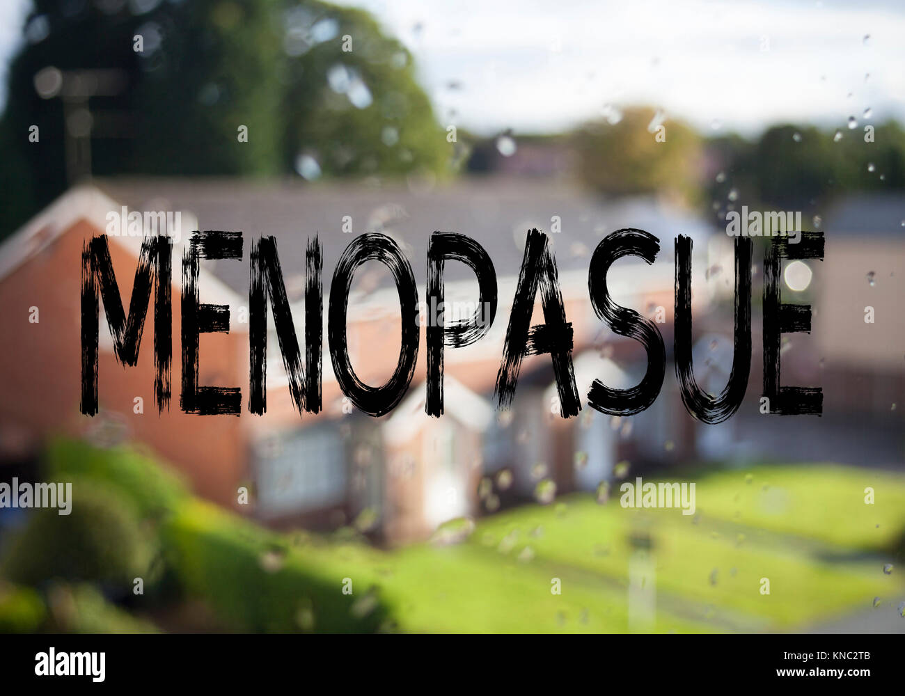 Announcement text caption showing Menopause. Business concept for ...