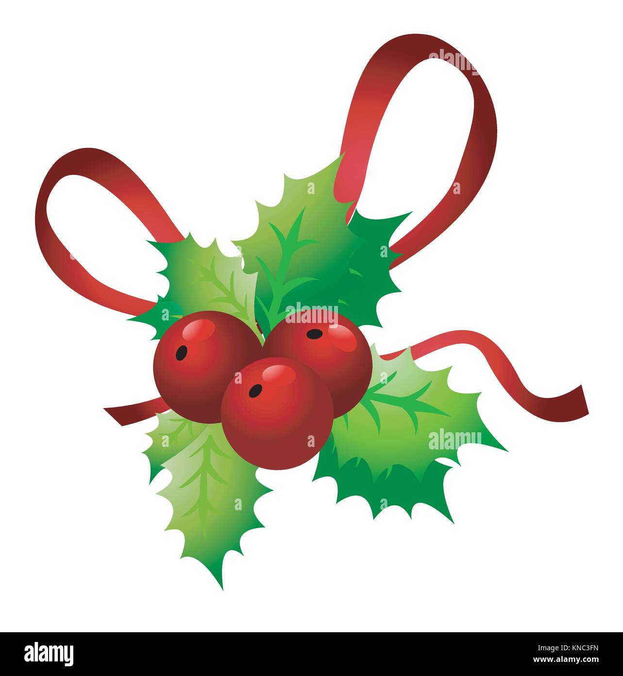 Holly sprig on white background vector illustration Stock Vector Image ...