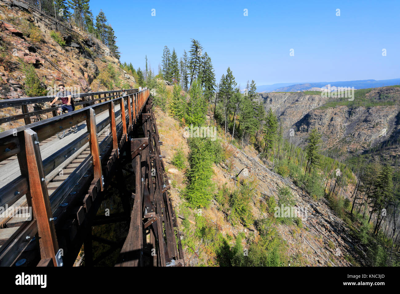 Cyclists Along The Myra Bellevue Park Myra Canyon Trestles Cycleway