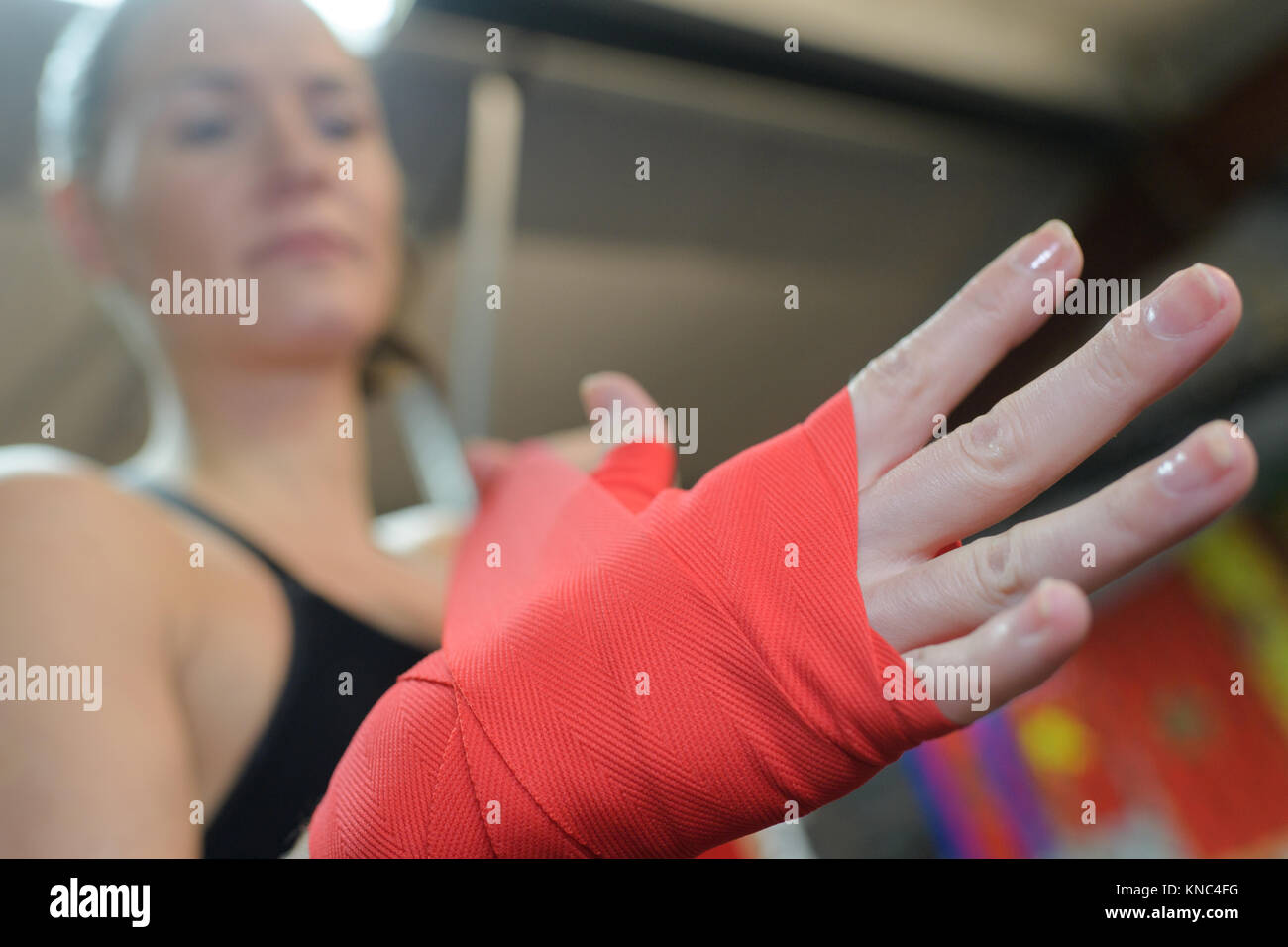 good looking female focused boxer preparing for a fight Stock Photo - Alamy