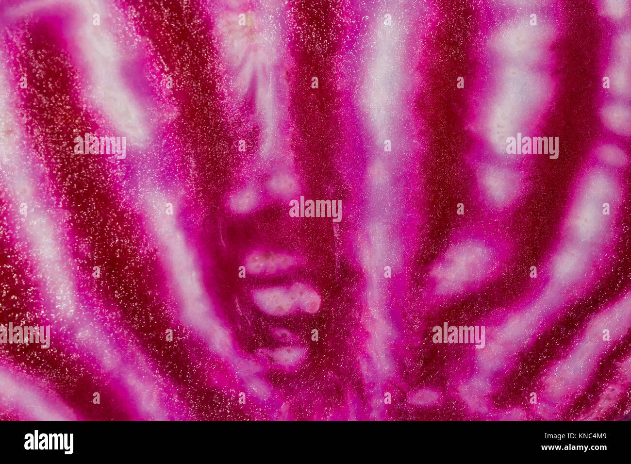 Natural structure hi-res stock photography and images - Alamy