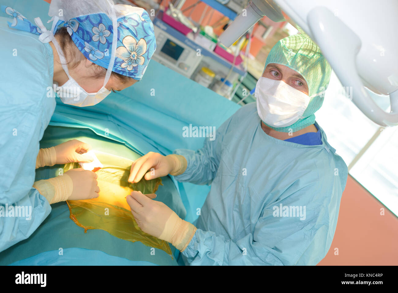 Animal operating theatre hi-res stock photography and images - Alamy
