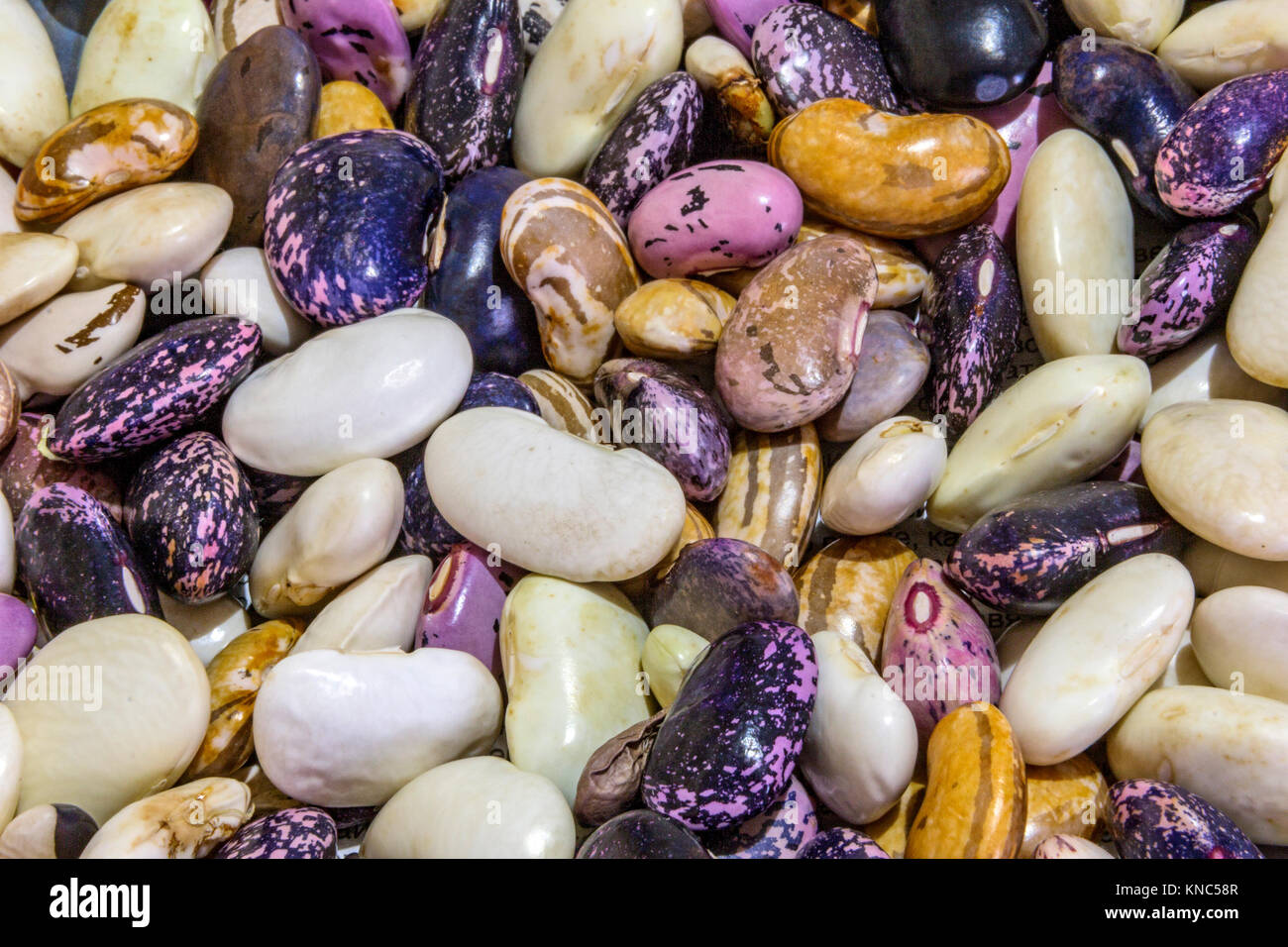 Beautiful mixed colorful beans as background. Raw colorful bean texture ...