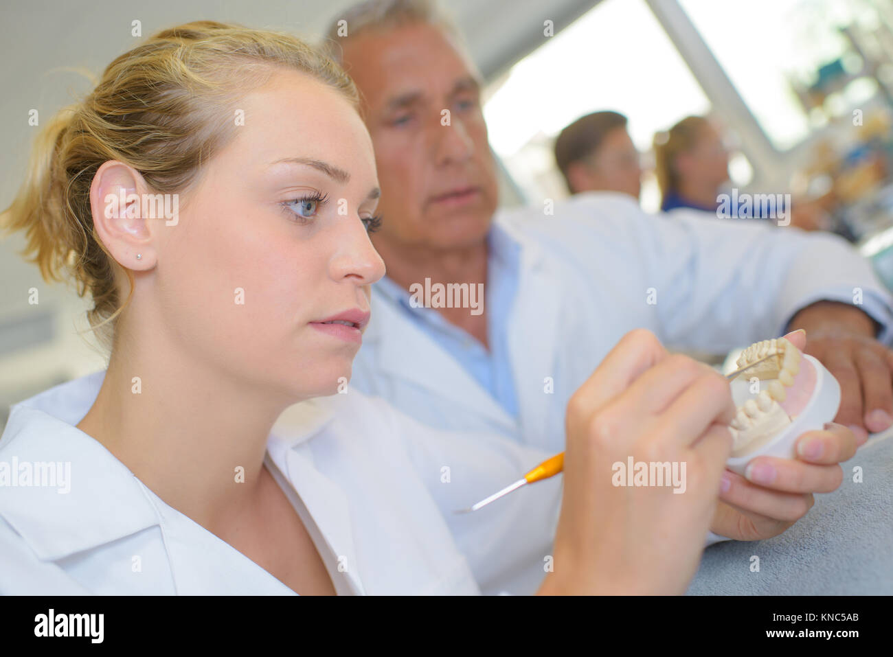 woman making dentures Stock Photo - Alamy