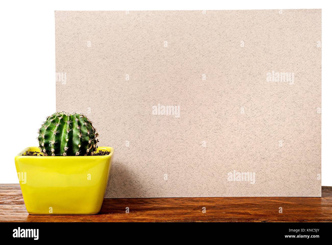 Cactus on the desk near the beige board isolated on white background ...
