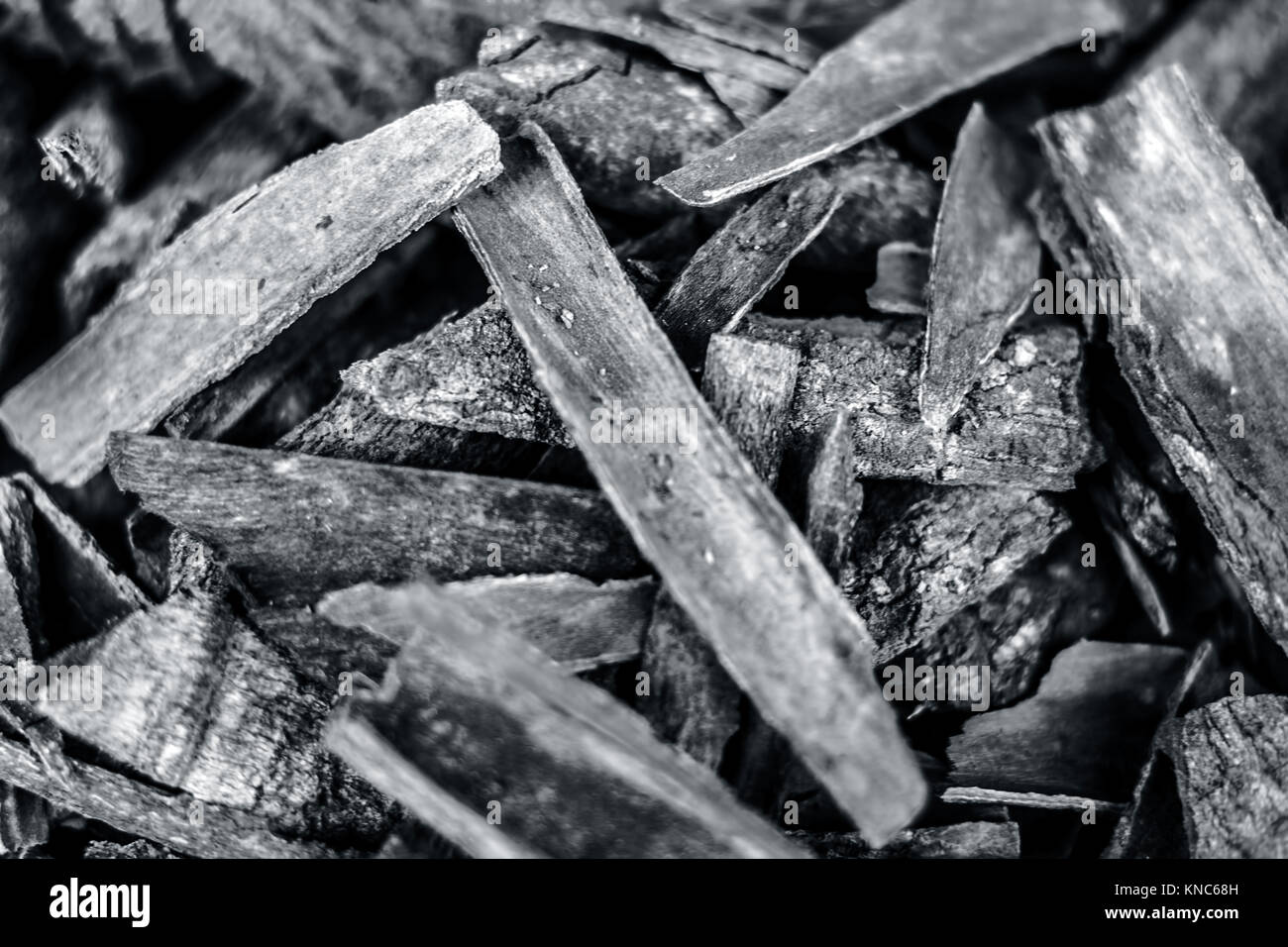 Raw Cinnamomum verum,Cinnamon in the market Stock Photo - Alamy