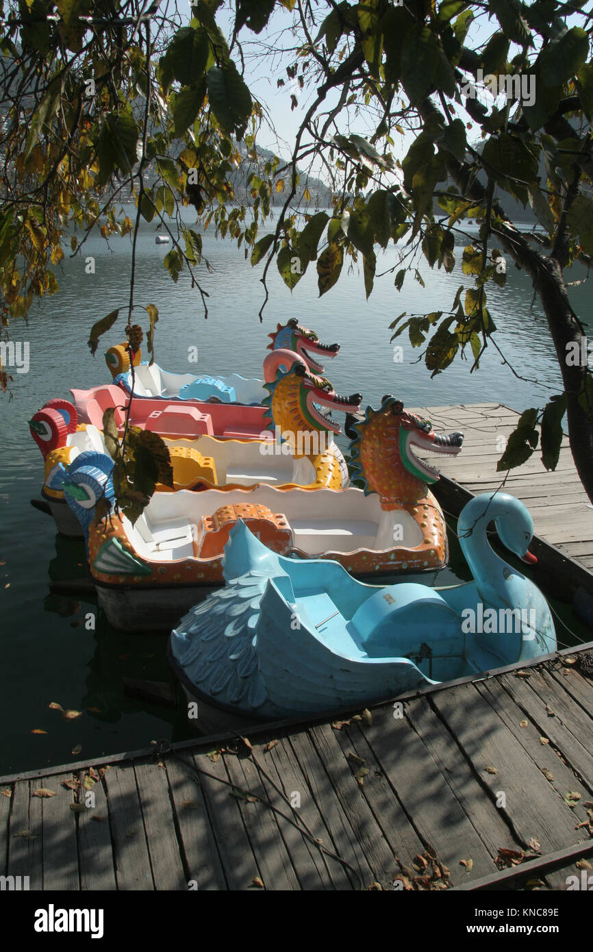 Bird-shaped attractive boats ready to carry tourists Stock Photo - Alamy