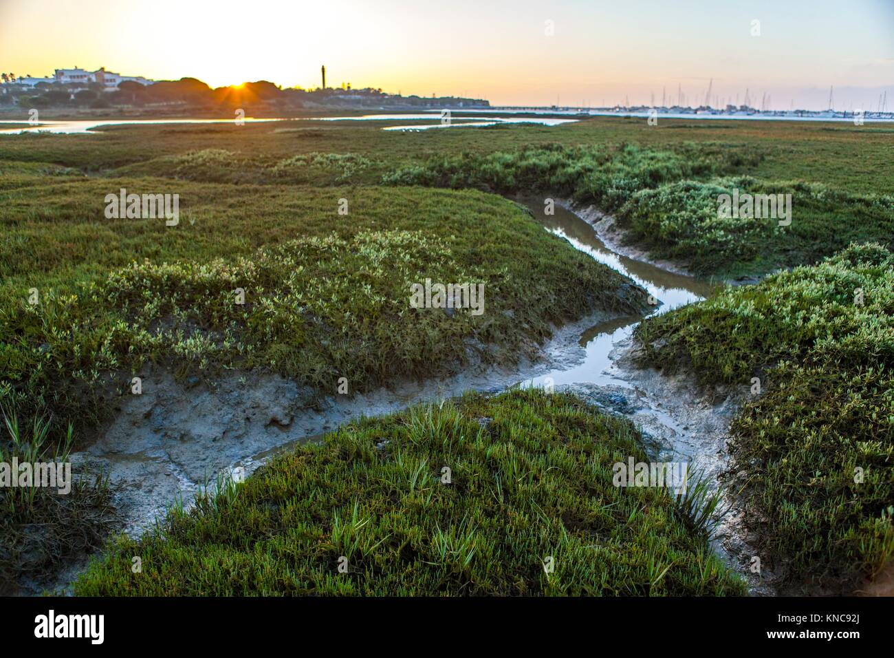 Sunrise outline hi-res stock photography and images - Alamy