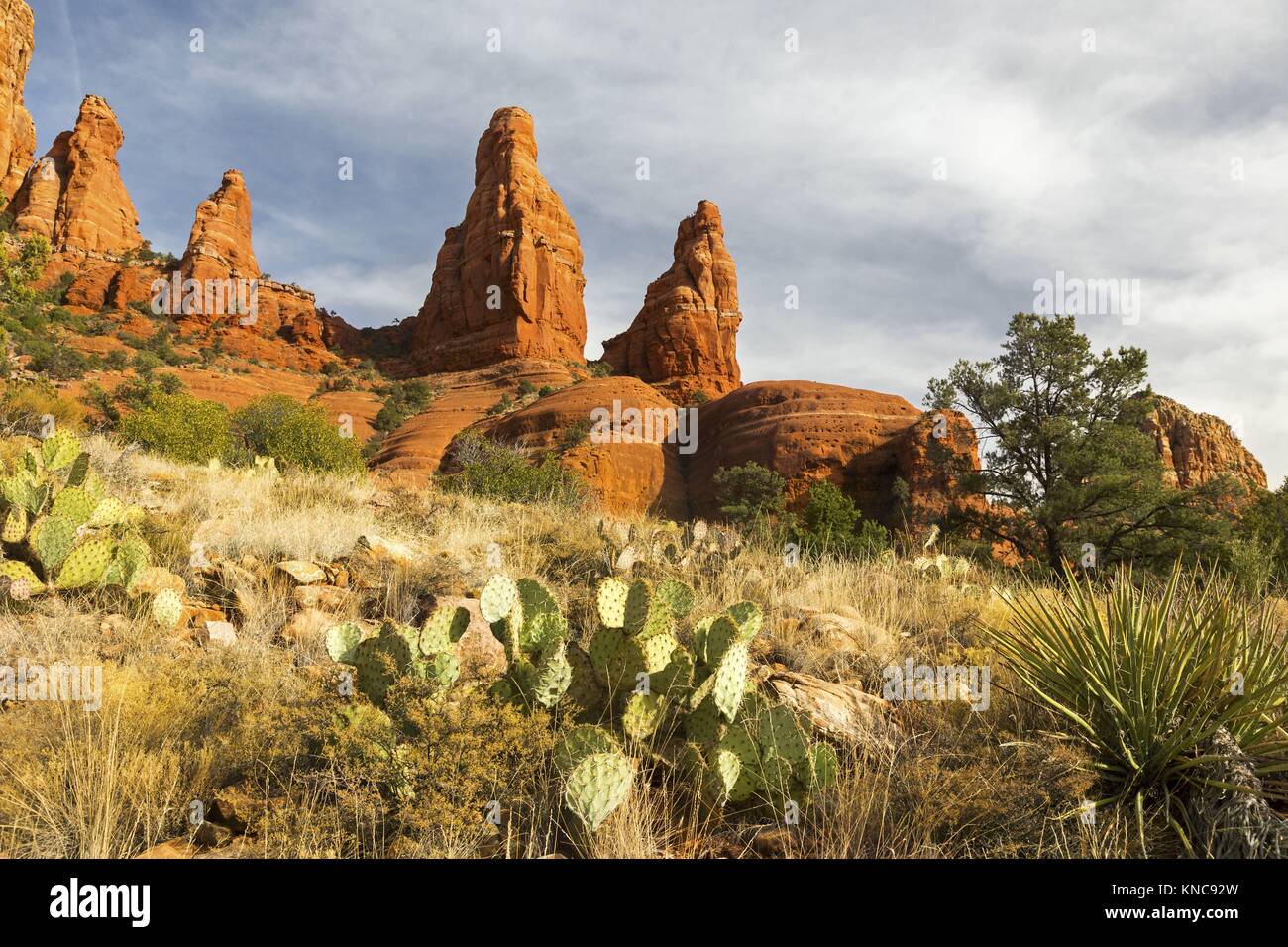 Two Nuns Red Rock Pinnacle Towers Cactus Plants Desert Landscape ...