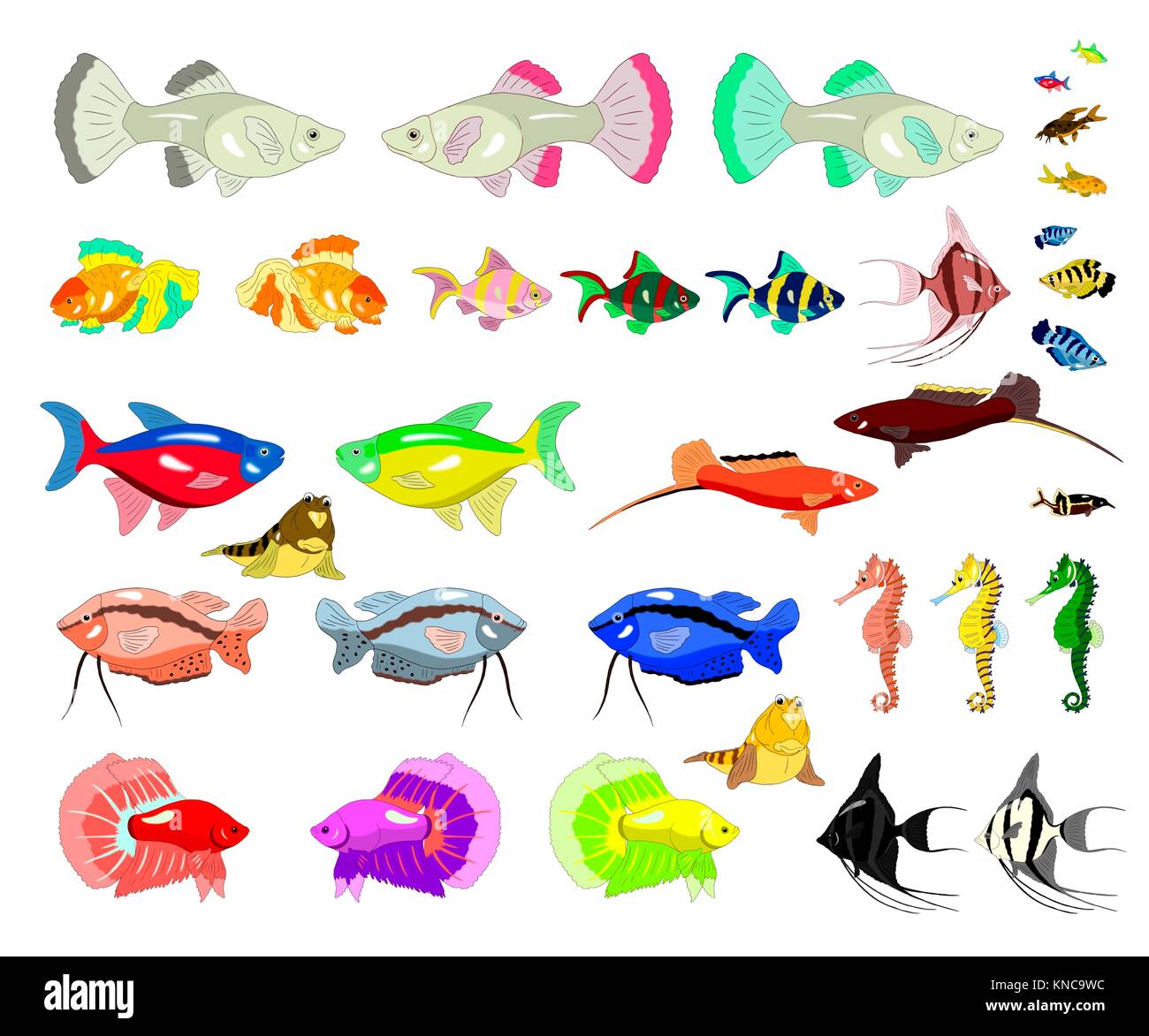 Cartoon fish High Resolution Stock Photography and Images - Alamy