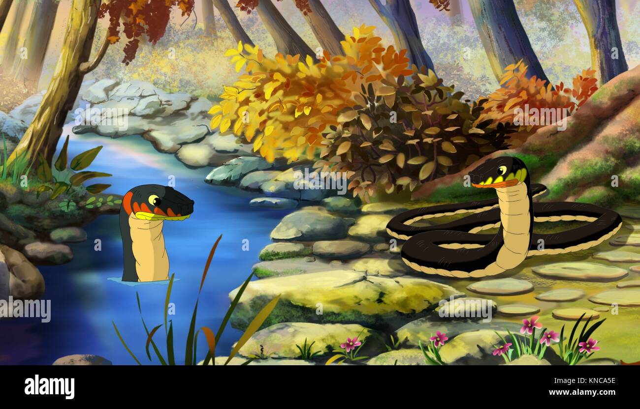 European water snake hi-res stock photography and images - Alamy