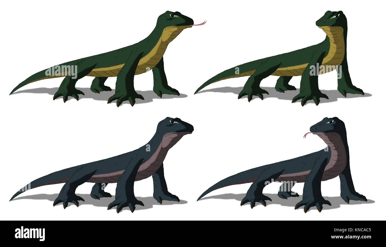 Varanus komodoensis komodo Cut Out Stock Images & Pictures - Alamy