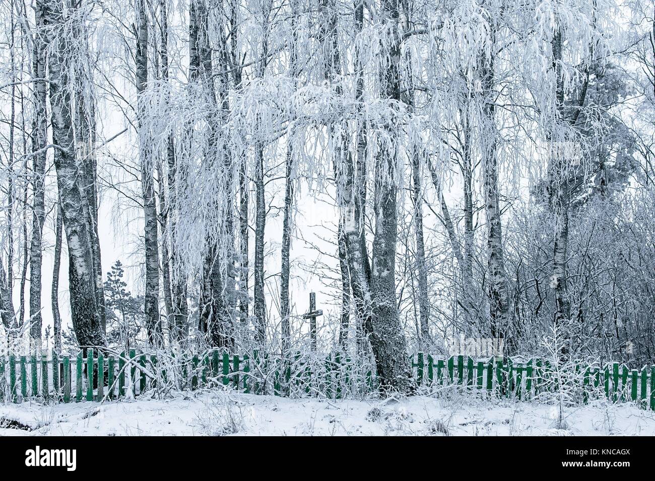 Frozen cemetery hi-res stock photography and images - Alamy