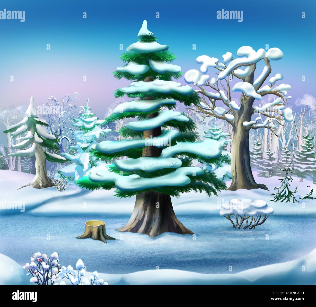 Cartoon Evergreen Trees In Snow