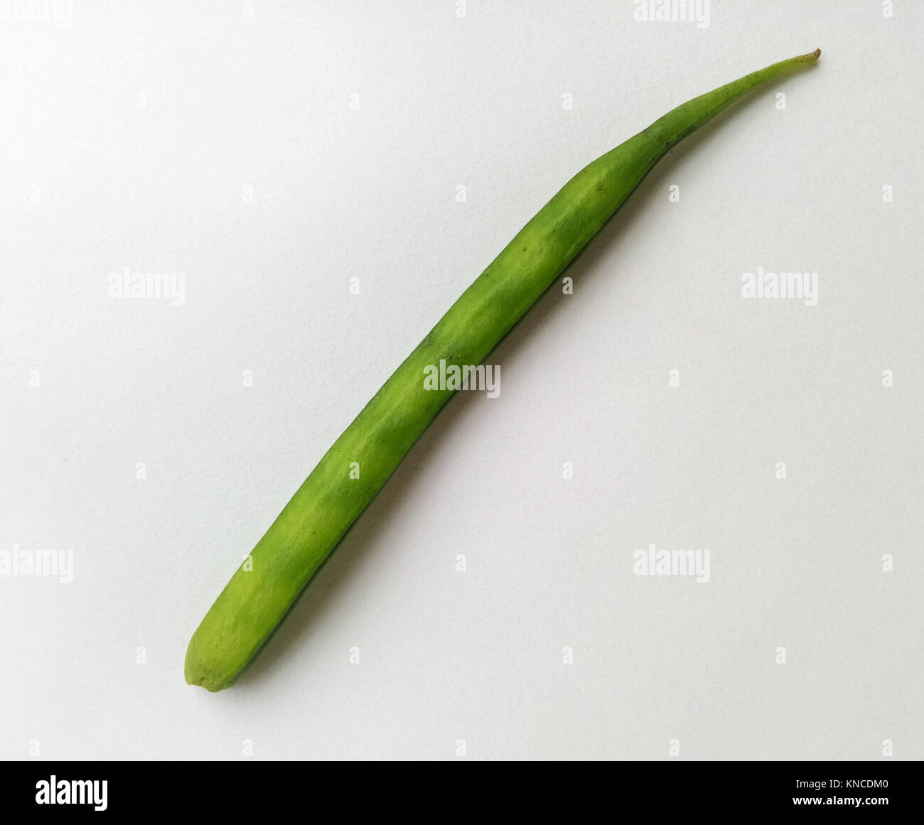 Cluster Beans Green Healthy Vegetable Stock Photo - Alamy