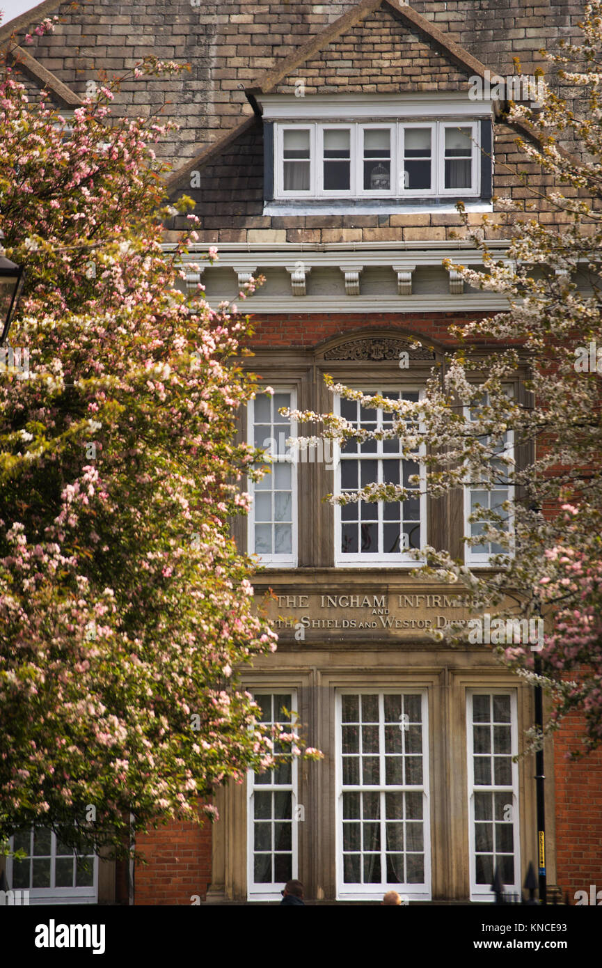 The former Ingham Infirmary, South Shields, Tyne and Wear, UK Stock ...