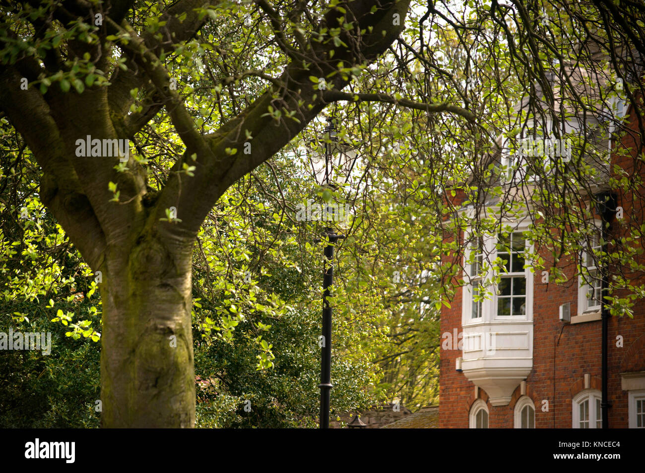Westoe Village, Tyne and Wear, UK Stock Photo - Alamy