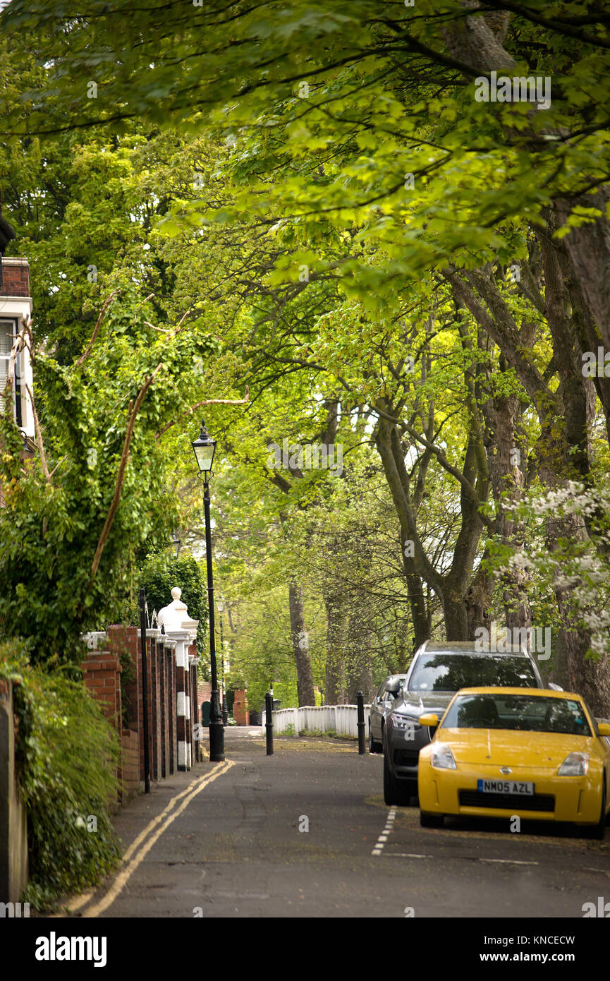 Westoe Village, Tyne and Wear, UK Stock Photo - Alamy