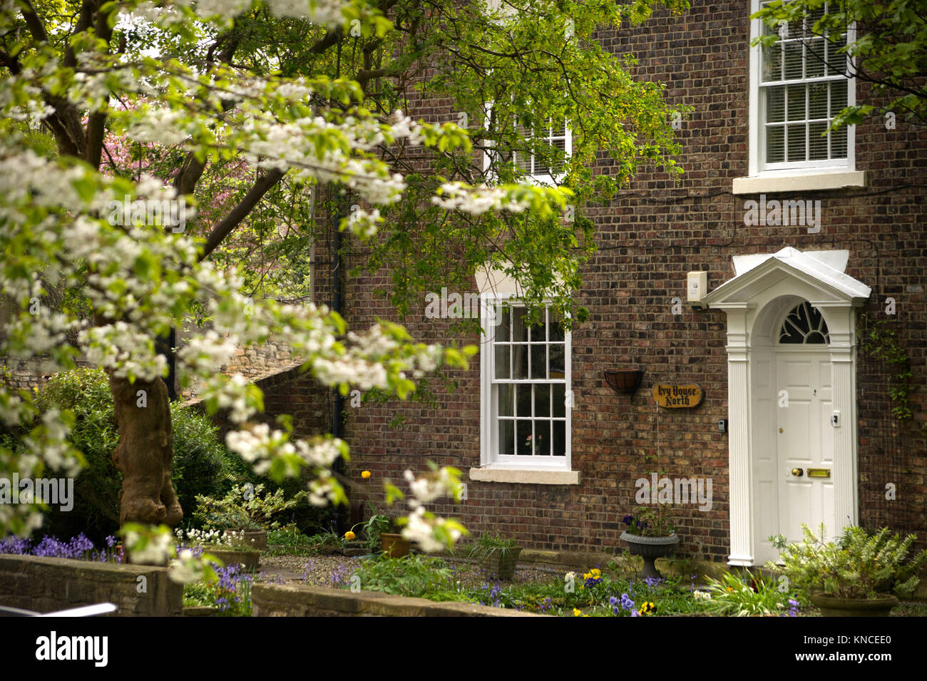 Westoe High Resolution Stock Photography and Images - Alamy