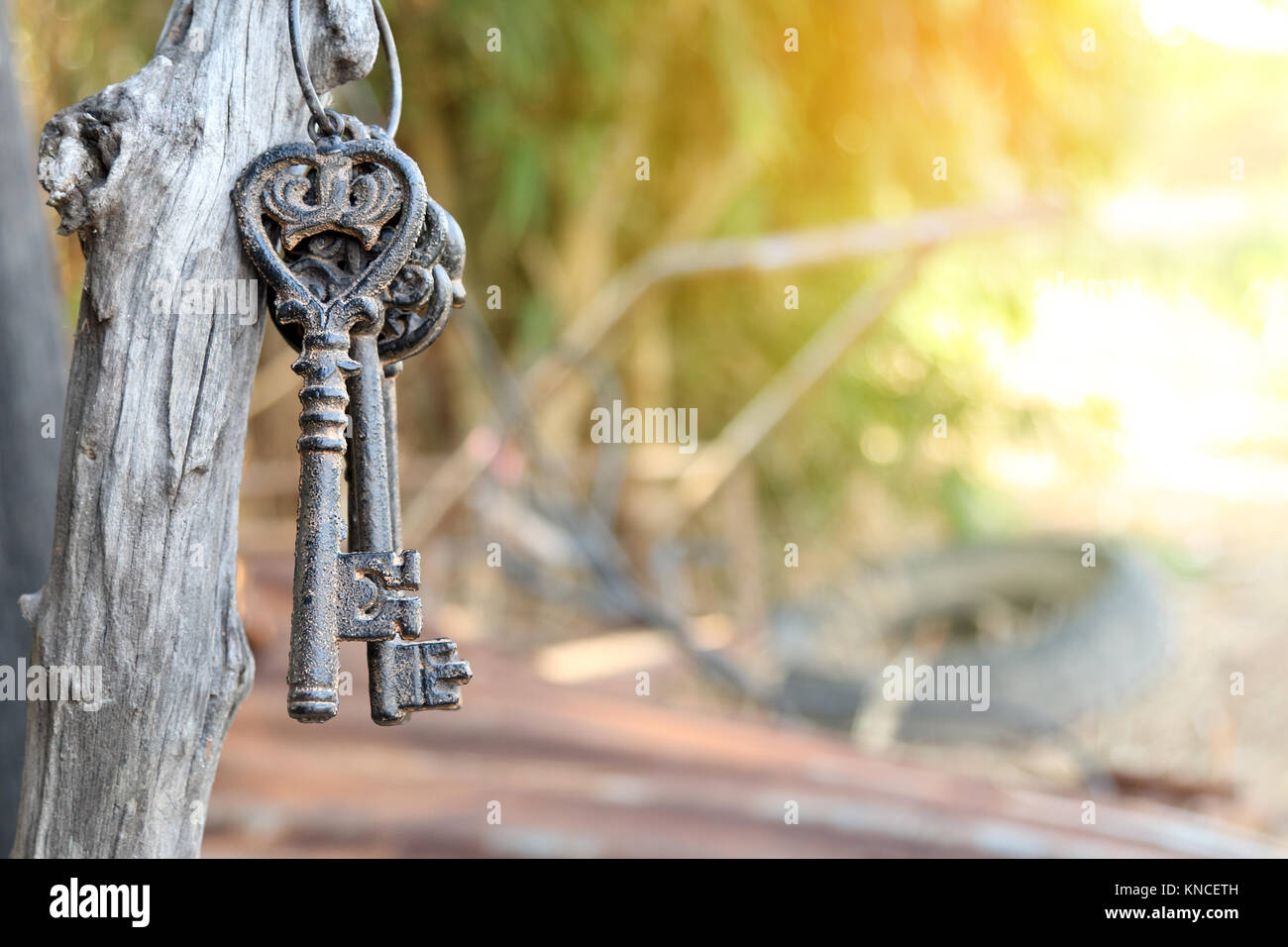 Old key hanging on wooden pole against nature background Stock Photo ...