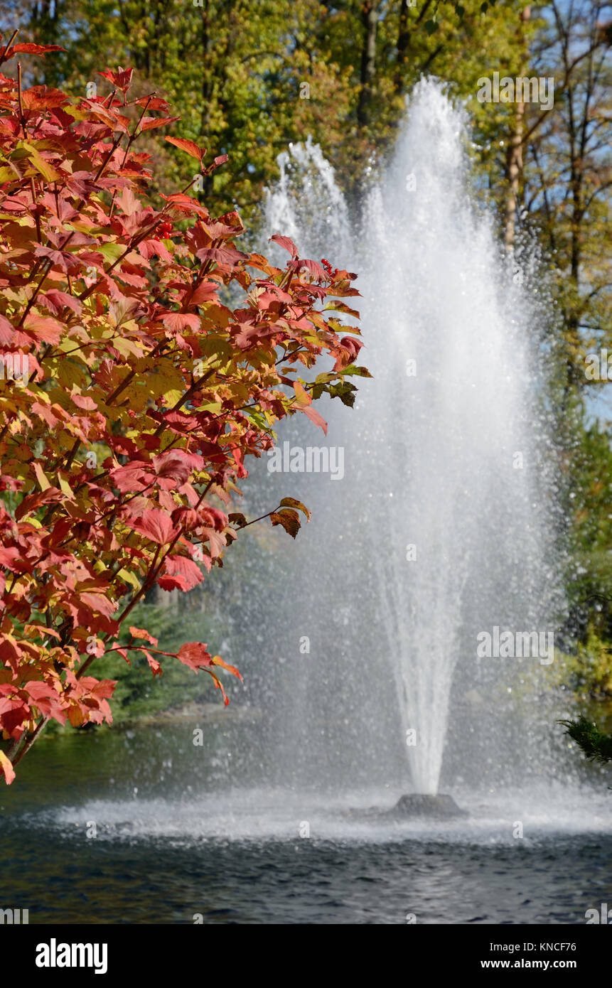 Fountain park in autumn hi-res stock photography and images - Alamy