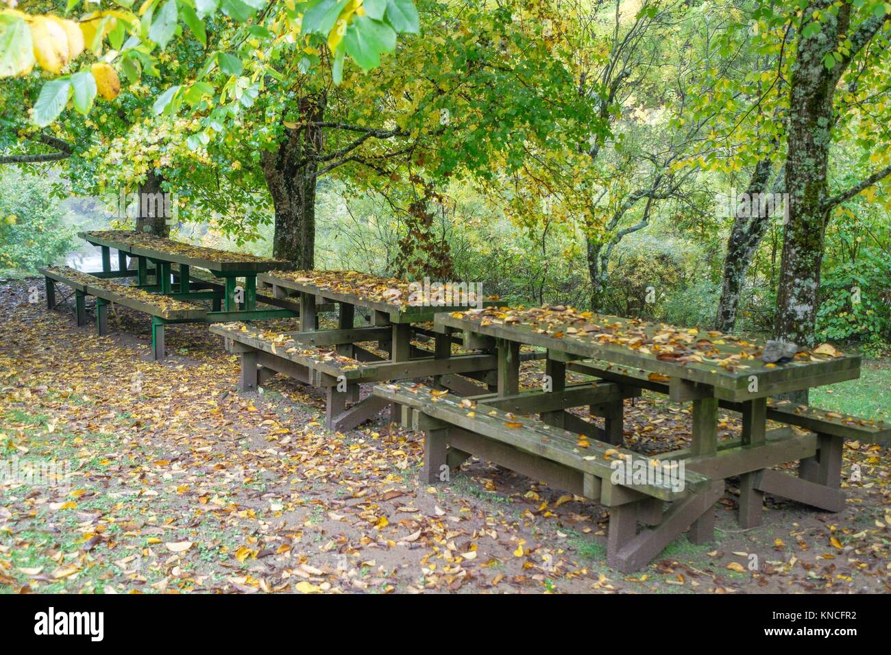 Western wildlife corridor hi-res stock photography and images - Alamy