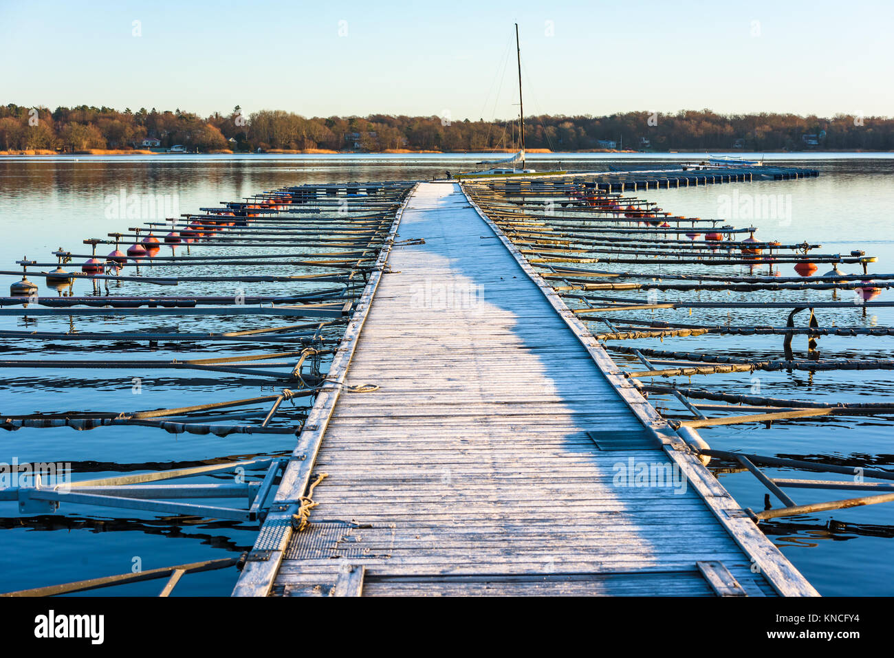 Almost empty marina with frost on the pier. All but two mooring places ...