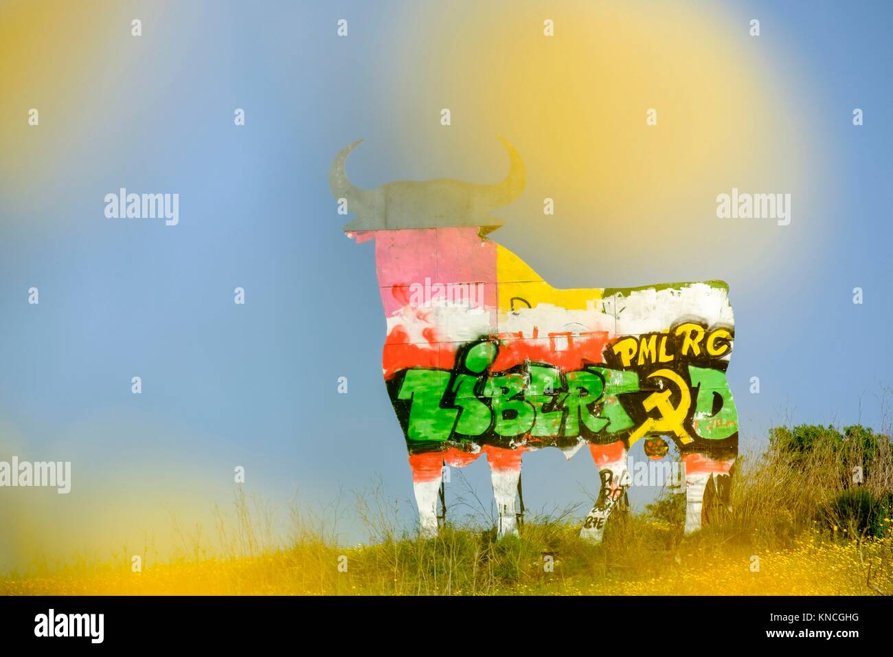 Silueta de toro hi-res stock photography and images - Alamy