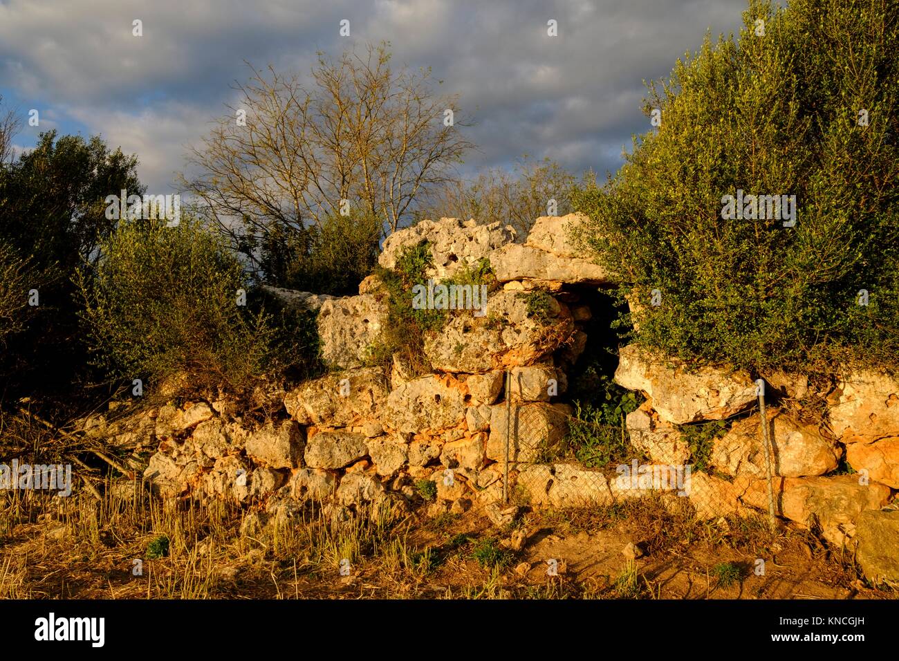 Sencelles majorca hi-res stock photography and images - Alamy